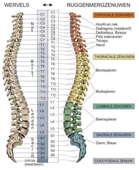 DaadkrachtVoorLisanne | Geef Lisanne weer uitzicht op een toekomst!